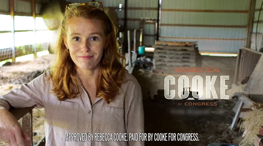 Cooke launches her first ad of 3rd CD campaign - WisPolitics