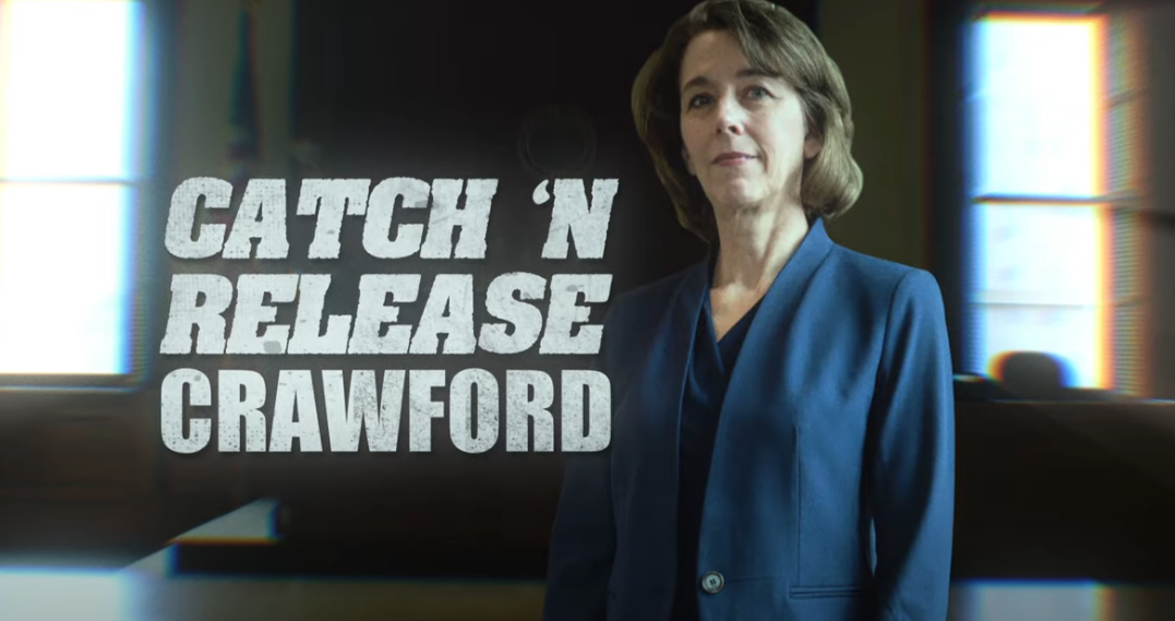 Musk, WMC ads hit the air in Supreme Court race - WisPolitics