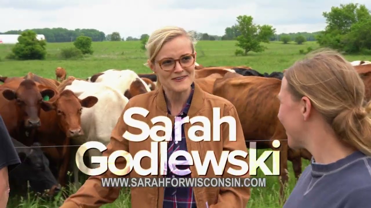 Godlewski ad says she's 'leading the fight' - WisPolitics